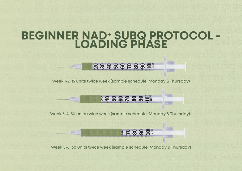 NAD-500mg – Trive